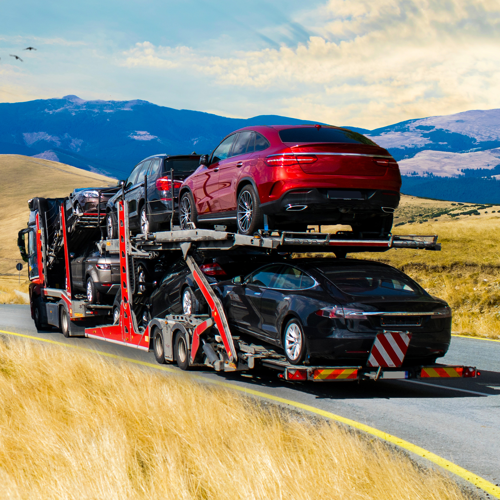 Vehicle shipping - Polimex Forwarding